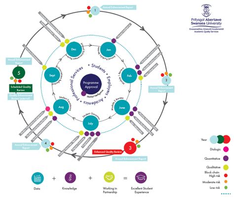 The Quality Review Process Swansea University