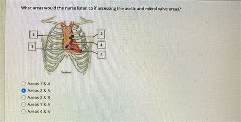 Solved What Does Thoracic Expansion Respiratory Excursion