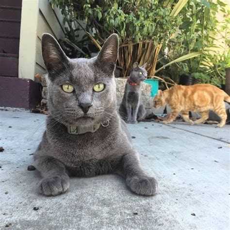 Ted Powers Tedpow8222 • Threads Say More