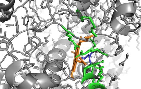 Figure 11 From New Probes For Heme Detection In Biological Systems