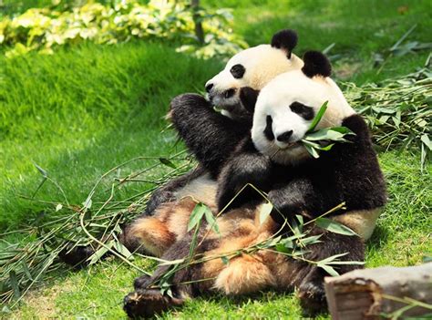 Beč Grad Muzeja Evropa Escape Magazin