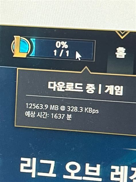 롤 패치 업데이트 속도 왜이러나요 지식in