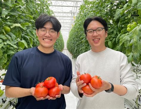 아이오크롭스 상주시기초푸드뱅크 토마토 후원