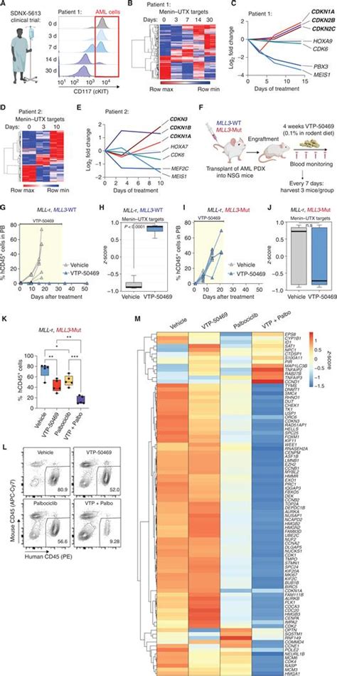 A Molecular Switch Between Mammalian Mll Complexes Dictates Response To