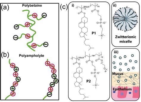 Schematic Representations Of A Polybetaine And B Polyampholyte