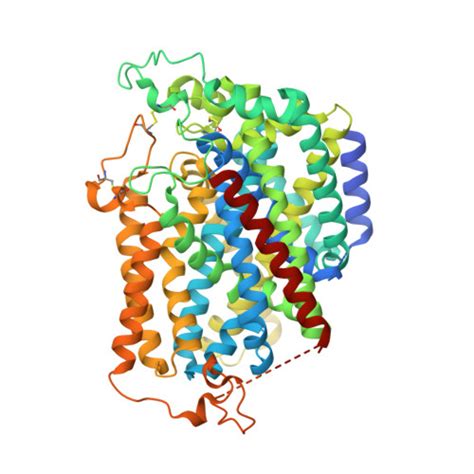 Rcsb Pdb 7ynk Structure Of Human Sglt2 Map17 Complex In The Apo State In The Inward Facing
