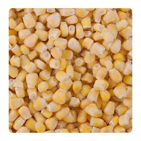 Best Frozen Sweet Corn Exporters From India Harvest Food Exim