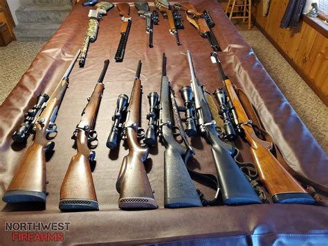 Rifles For Sae 1  Northwest Firearms