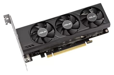 ASUS GeForce RTX 4060 LP BRK 8GB – низкопрофильная RTX 4060 с аж тремя ...