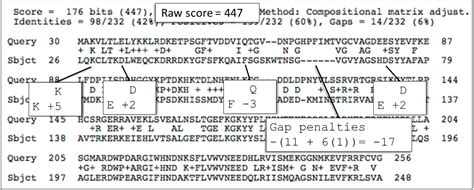Blast Scoring And Statistics