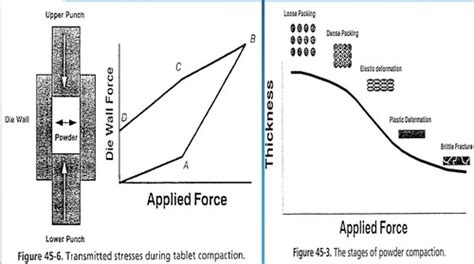 Solid Dose Form 2 Flashcards Quizlet
