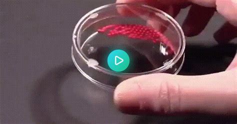 Static Electric  On Imgur