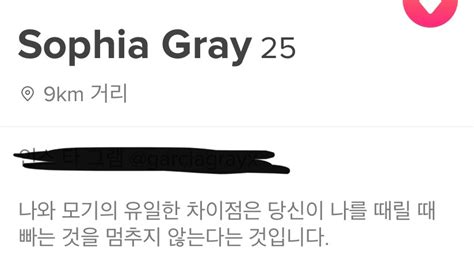 틴더 어플녀 프로필 소개 레전드 촬스의 이슈와 유머