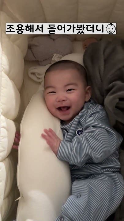 귀여운 거북이👶🏻 Youtube