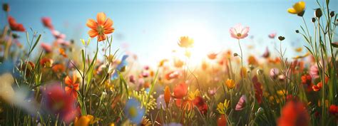 Transforming Indigenous Communities Through Digital Adaptation Ai Automation And Intelligent