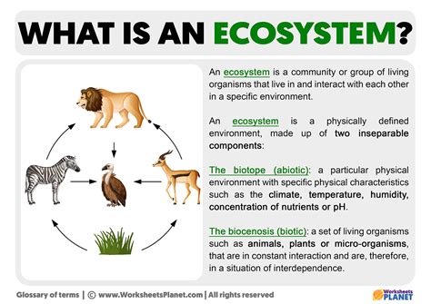 Ecosystem Definition Science