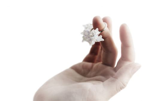 Erotic Toys Are An Incredible Opportunity Says Rita Catinella Orrell