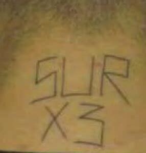 Sureños Gang Signs Comprehensive Guide On How To Identify Them