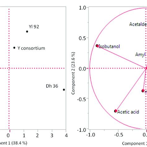 Principal Component Analysis Based On The Main Analytical Characters