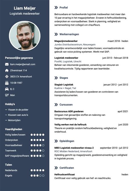 Professionele Cv Templates Kies Jouw Favoriete Lay Out Cvtogonl