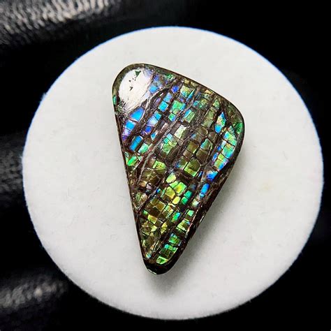 Natural Dragon Skin Ammolite Freeform Cabochon 25x13x4 Mm 14 Cts