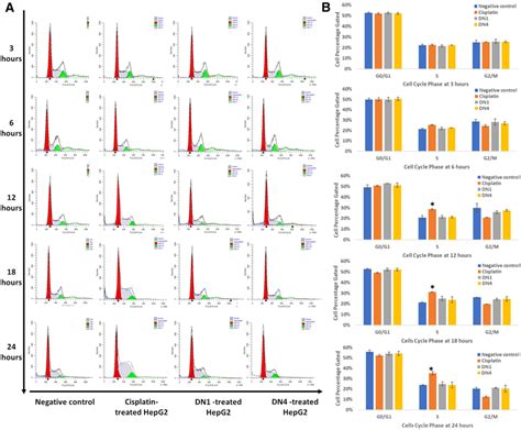Cell Cycle Histogram A And Distribution Of Hepg2 In Each Cell Cycle Download Scientific