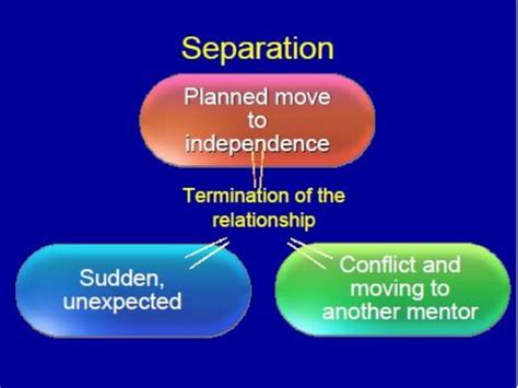 Developing Mentoring Program Pdf Physical Therapy Wellness