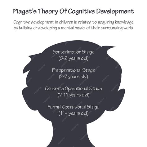 Premium Vector Piagets Theory Of Cognitive Development Vector