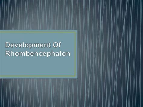 Development Of Rhombencephalon Pptx