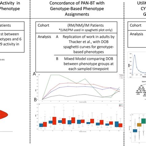 Visual Summary Of The Data Analysis Approaches Performed And Their