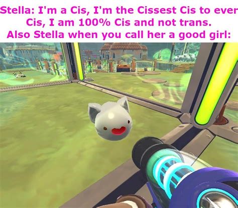 A Joke About Our Beloved Stella From Egg Irl R Eggy Memes