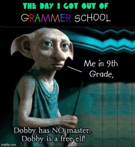 Dobby College Memes