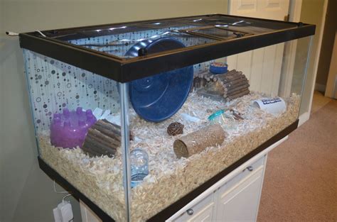 Page Not Found Hamster Cage Hamster Diy Cage Hamster Habitat