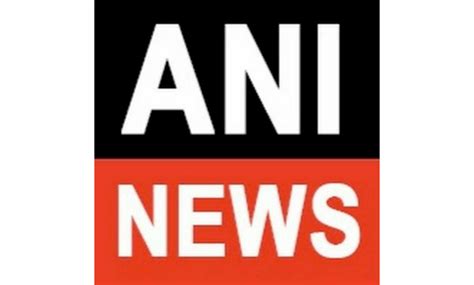 Cynohub Full Stack Development