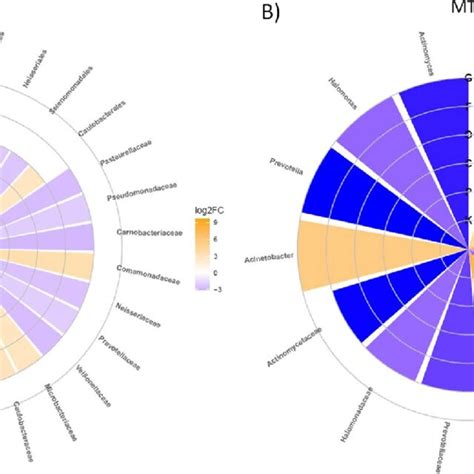 Circular Heatmaps Of Differentially Abundant Taxa A The Differentially Download Scientific