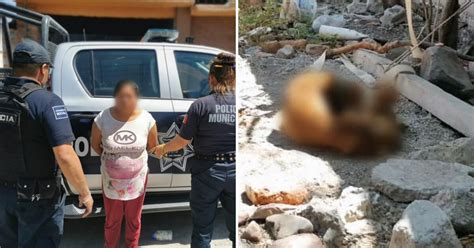 Tenía A Su Perro Amarrado Afuera De Su Casa No Le Dio Agua Menos De Comer Y Murió Ya Fue