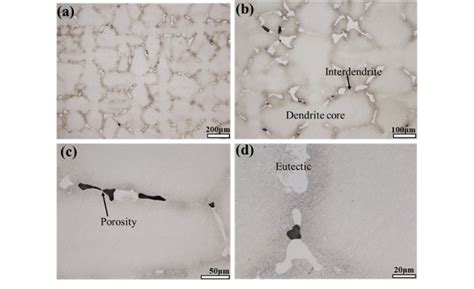 As Cast Microstructure Of Dd6 Single Crystal Superalloy Download