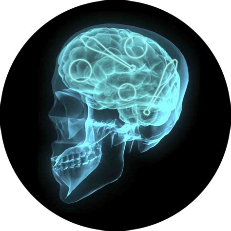 Brain Circle ⋆ Thom Wall