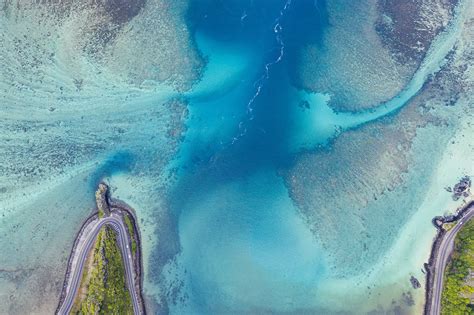 Western Indian Ocean Coral Reefs Threatened With Decimation Daily Sabah