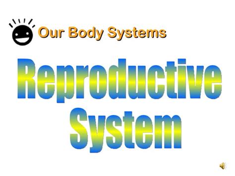 Reproductive System Quiz Docx