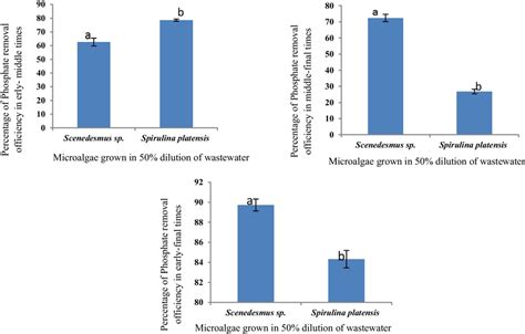 Algae Phosphate Removal Efficiency Percentage Zero Middle Middle End Download Scientific