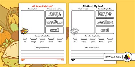 All About My Leaf Activity Twinkl