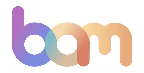 Login Bam