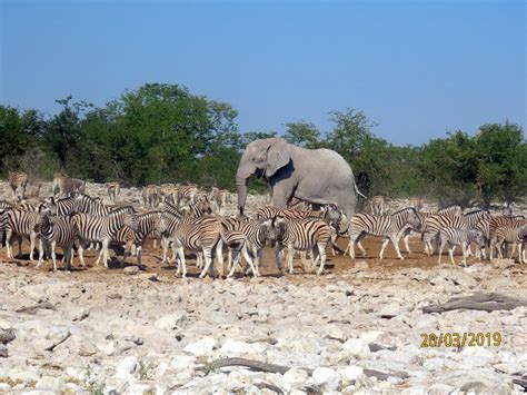 Wrong Dress Code By Bluejonnyp Ephotozine