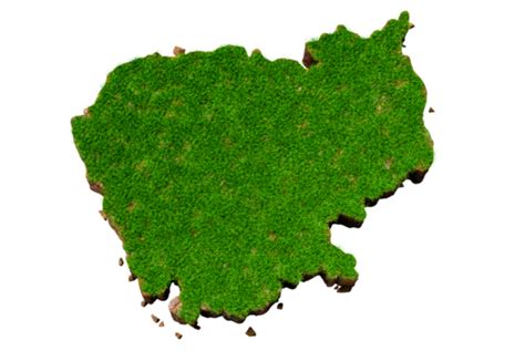 Grass Plan Pngs For Free Download