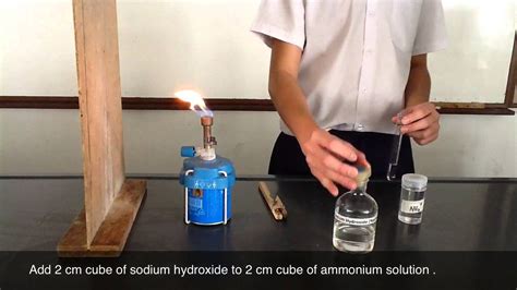 Sodium Hydroxide Cation Test At David Reiser Blog