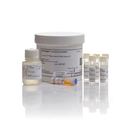 Quant It™ Ribogreen Reagent And Rna Assay Kit 1 Kit Buy Online Invitrogen™