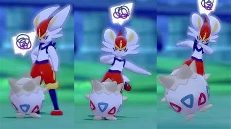 Pokemon Camp Funniest Moments Pokemon Sword And Shield Youtube