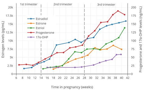 What Are Normal Estrogen Levels In Men And Women Balance My Hormones