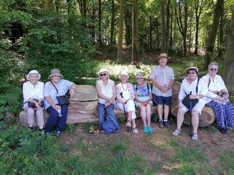 Walking 3 Stragglers